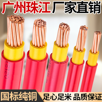 广州珠江电线 线BVV10/16/25/35/50/70平方国标阻燃铜芯双塑电线