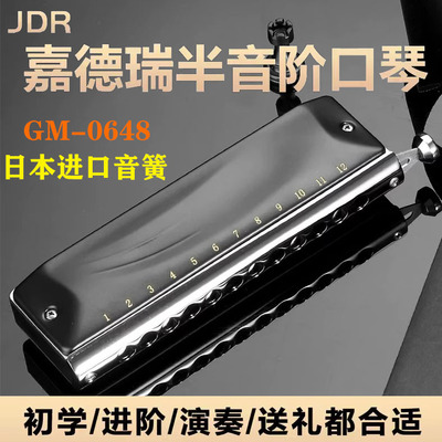 嘉德瑞12孔半音阶口琴专业演奏