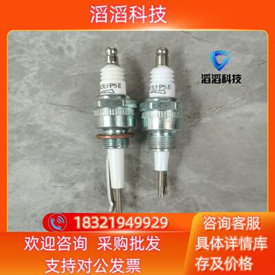 现货原装 天时ECLIPSE 点火棒 电极13047 13