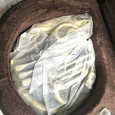 可维修星海牌圆号，带棕色琴盒，XHF-200一共四台，议价