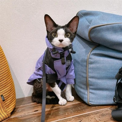 速发冲锋衣冬迪比熊雪纳法瑞斗猫咪秋泰保暖衣服