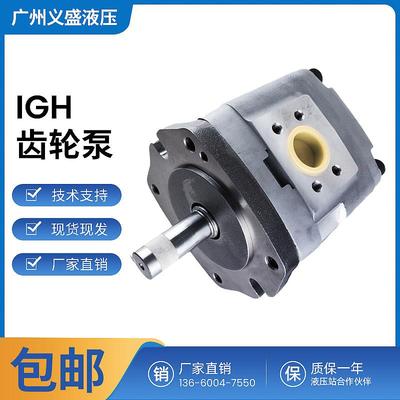 液压齿轮泵油泵IGH IGM-2 3 4 5 6F-5 6.5 13 16 32 40 100-R-20