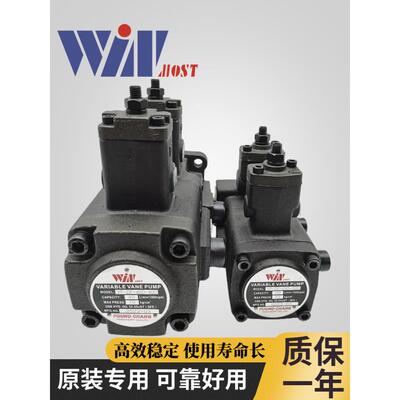 峰昌WINMOST双联叶片泵VP-DF-12A/B12C/D油泵DF-20A/B20C/D-01/02