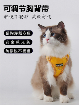 猫咪牵引绳防脱外出背心式猫胸背