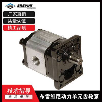 新款布雷维尼Brevini齿轮泵OT100P11 D/G18 OT200P04 S/R OT300液