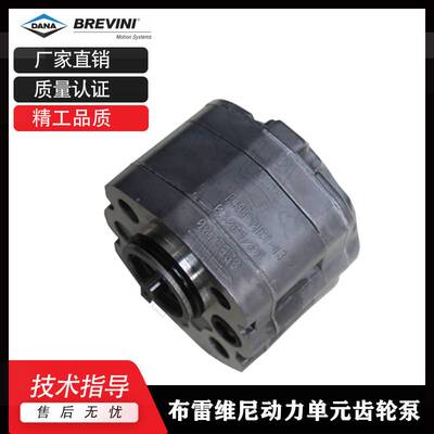 新款布雷维尼brevini齿轮泵OT200-GR2 OT303-GR3 OT100-GR1液压油