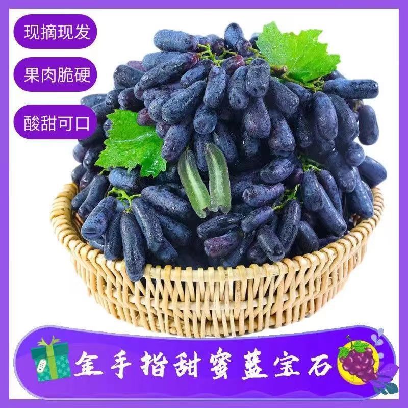 蓝宝石葡萄天然无籽金手指葡萄美人指黑提子长形新鲜水果冷链包邮