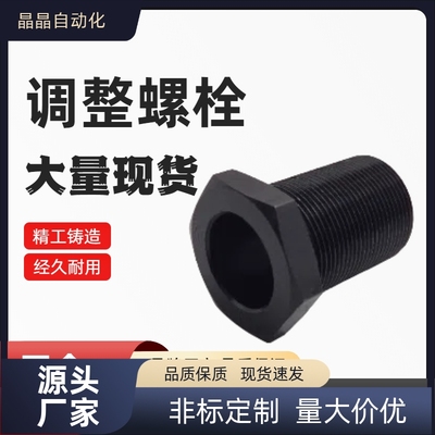 PAX31/LVFB16 20 24 30-15 20 25 30 40 5080100空心螺丝调整螺栓