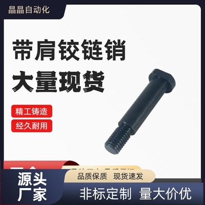 CLBDG/MIE01-D4 D5 D6 D8 D10 12-L10 12 14 15 50  带肩铰链销轴