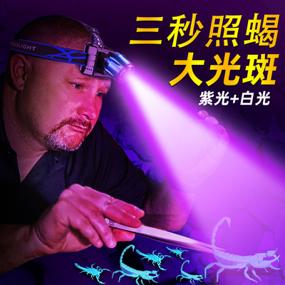 速发头钓式蝎蝎子专用灯头灯强光超亮充电夜钓戴鱼灯手电筒照子紫