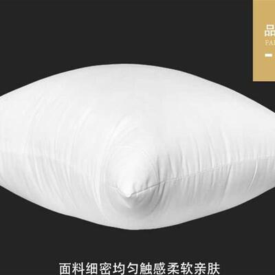 Throw Pillows Sofa Couch Cushion Decorative Pillow insert枕