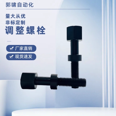 调整螺栓PAY01外六角AJST3 4 5 6 10 12 16-10 15 20 25 30 35 40