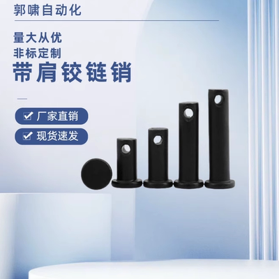 带肩铰链销MIB01 HCMG3 4 5 6-10 12 14 15 16 18 20 22 24 25 30