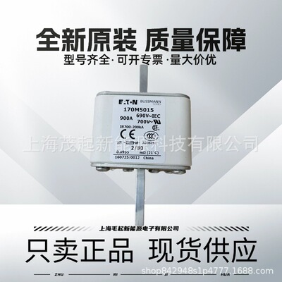 170M5062 170M5163 170M5015 170M5218 170M5213 巴斯曼熔断器