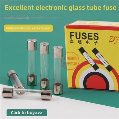 6*30mm玻璃管保险丝F1A2A3A保险丝5A 6A 8A 10A 20A 30A保险丝