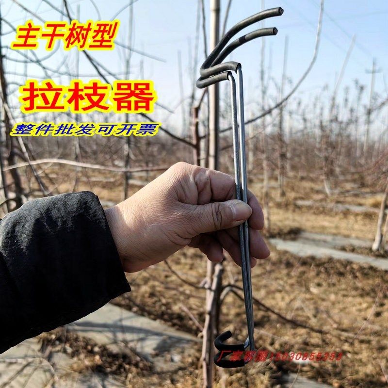 果树拉枝定型器压枝器别枝器通用改进型镀锌钢丝开角果树拉枝神器