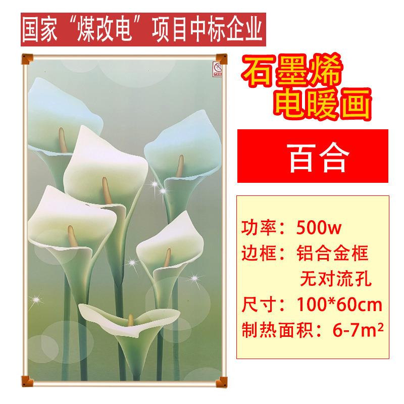 快速升温红外碳晶墙暖恒温散热壁画暖气片家用壁挂式电暖气