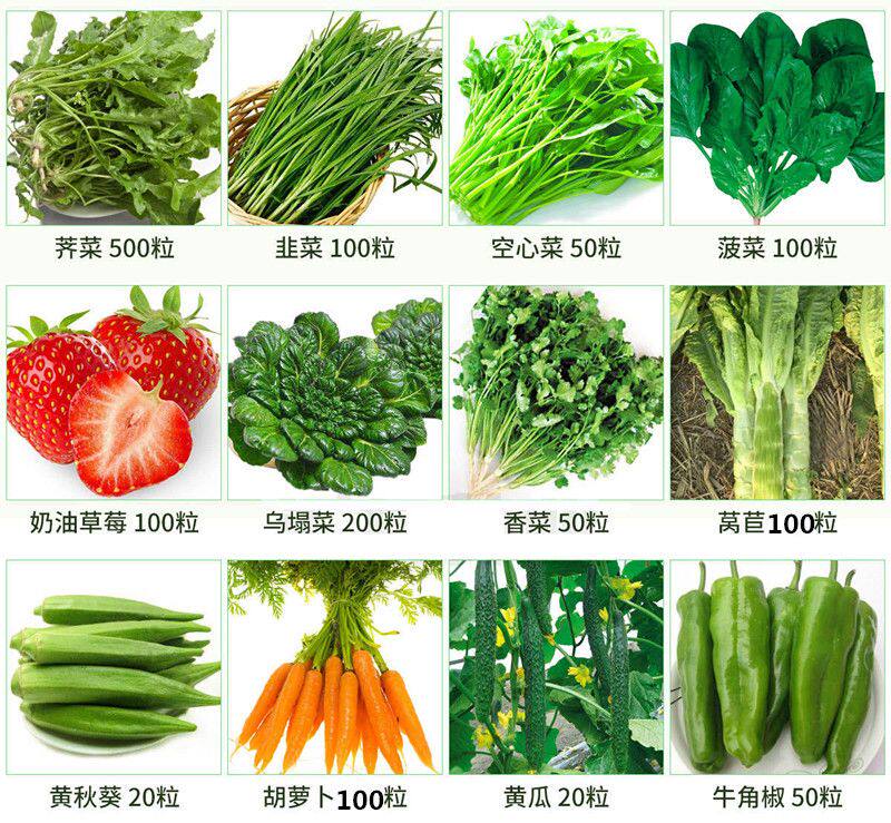 56种春夏季蔬菜种子套餐无机肥丝瓜黄瓜辣椒豆角玉米白生菜番茄子