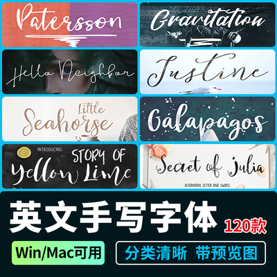 procreate字体包下载PS手写连笔英文字体文艺唯美LOGO设计素材