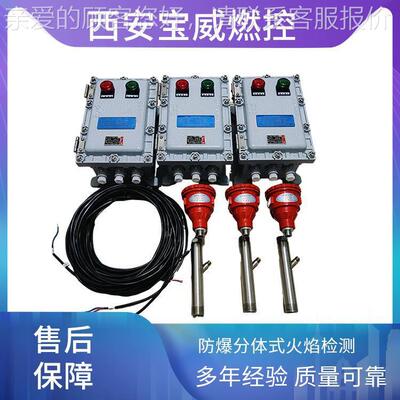 BWFZJ-1WZJB-1KFF火淬炉火焰检测器