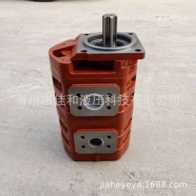 装载机双联泵厂家供应CBGJ3125/3125 多种规格 运行稳