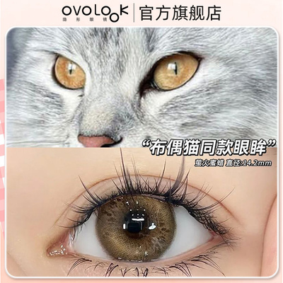 OVOLOOK棕色美瞳半年抛混血猫咪大小直径隐形眼镜旗舰店官网正品Y