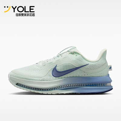 Nike/耐克正品PEGASUS PREMIUM女士缓震专业经典跑步鞋HQ2593-301
