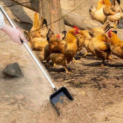 Chicken Coop Scooper Extendable Litter Sifting Shovel 4