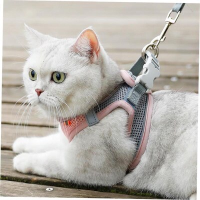 Breathable Cat Harness Leash AEscape Proof Pet Clothes vest