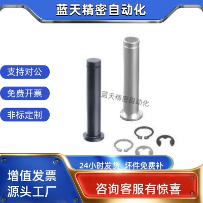 带肩铰链销MIE01-D4-L10