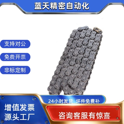 CHE15 CHES25 35 40 50 60 100 80-U CHEEC链条CHEED120 CHEH11