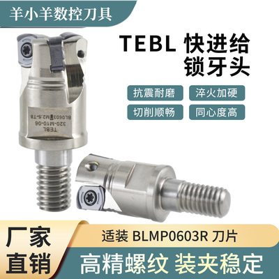 TEBL系列锁牙式铣刀头