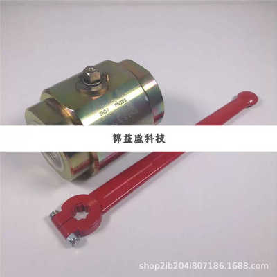 盖姆斯Gemels GB2-G-2 DN50 PN350 两通高压球阀