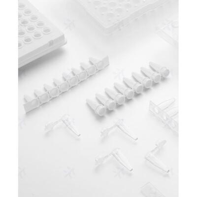 0.2mlPCR8联排管光学平盖透明管Viryapcr八联管荧光定量