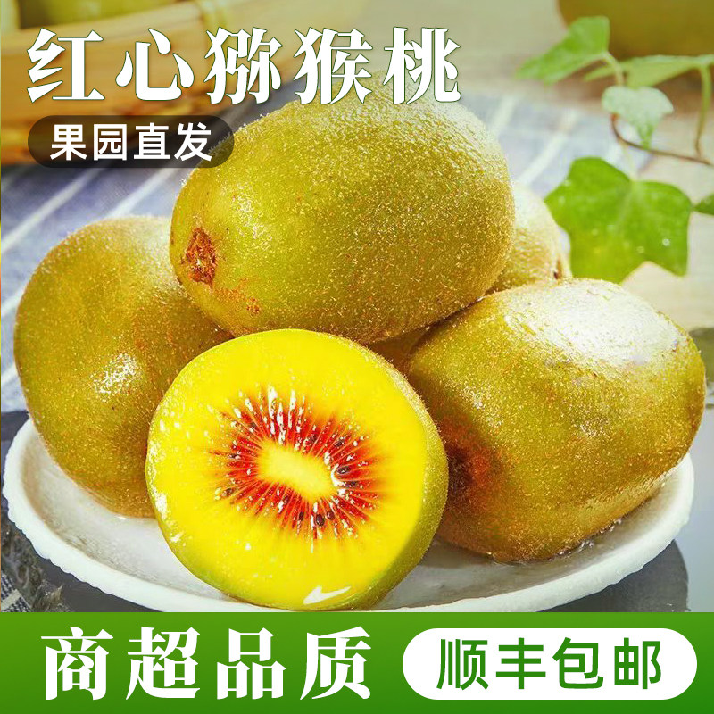【顺丰速发】四川浦江红心猕猴桃新鲜水果果园直发酸甜多汁奇异果