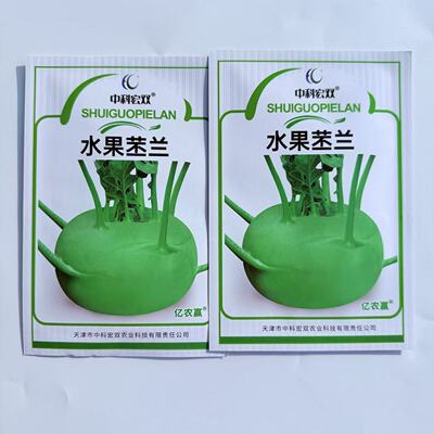 水果苤蓝种子45天早熟青苤蓝脆甜纤维少高产水果芥兰头
