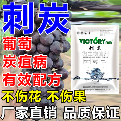 刺炭针对葡萄炭疽病专用安全高效配方升级以菌治菌疮痂各作物通用