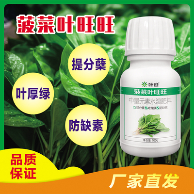 菠菜叶旺旺鲜嫩专用矮壮剂防徒长旺长疯长矮化青菜增产高产叶面肥