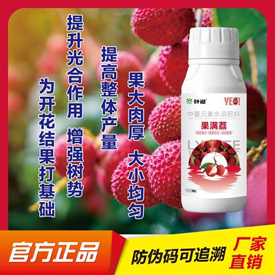 叶迎果满荔 荔枝适用 膨果增甜提质 汁多味浓农用肥料叶面肥