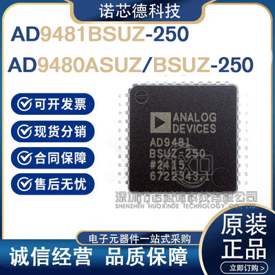 AD9481/AD8480数模转换芯片