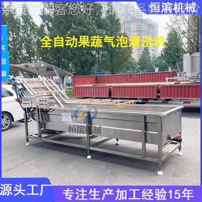 高压喷果淋蔬清洗机青梅杨梅果翻浪鼓 泡清浆洗机 洗菜机YXN价格