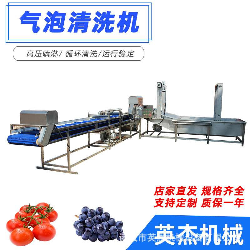 气泡果蔬清洗机 西红柿清洗漂烫机 预制菜净菜加工设备