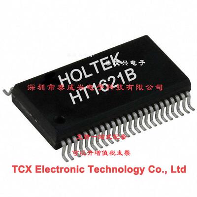HT1621B HT1621 SSOP-48 LCD液晶屏显示驱动IC TM1621B TM1621