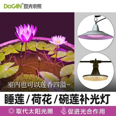 荷花睡碗莲莲专用补光灯 防徒长促抽芽开花LED全光谱植物生长灯荷