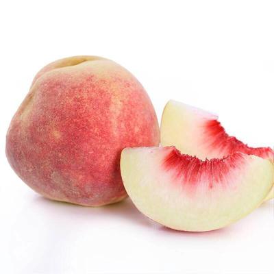 云南大理冬桃脆甜水果蜜桃新鲜现摘高原雪桃精选山桃大果毛桃子