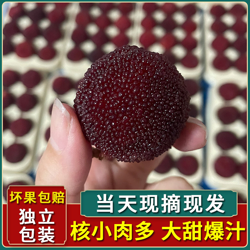 8A特级大果浙江仙居杨梅新鲜东魁杨梅鲜果孕妇水果现摘现发空运