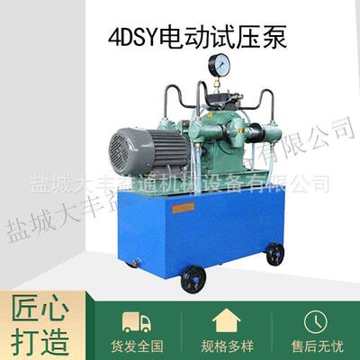 江苏供应DSY-25手提式电动试压泵双缸打压泵打压机