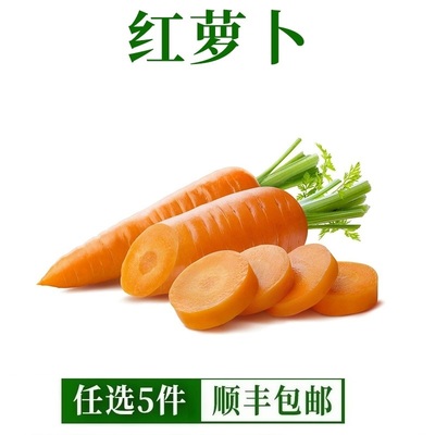新鲜大红萝卜500g 水果胡萝卜红罗卜生吃脆甜当季农家新鲜蔬菜