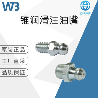 工厂直采 德国 WTB锥润滑注油嘴 DIN 71412 A (H1/180°)  多型号
