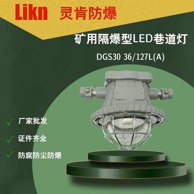 矿用隔爆型LED巷道灯DGS30/127L(A) DGS36/127L(A)井下防爆照明灯